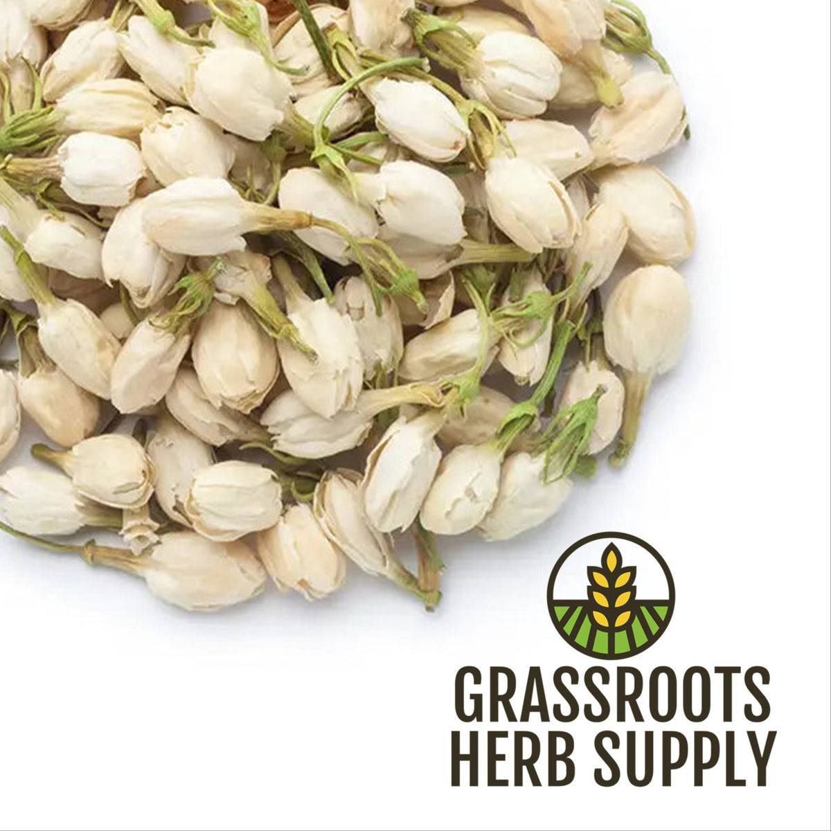 Jasmine Flowers, Whole (Jasminum officinale) – Grassroots Herb Supply